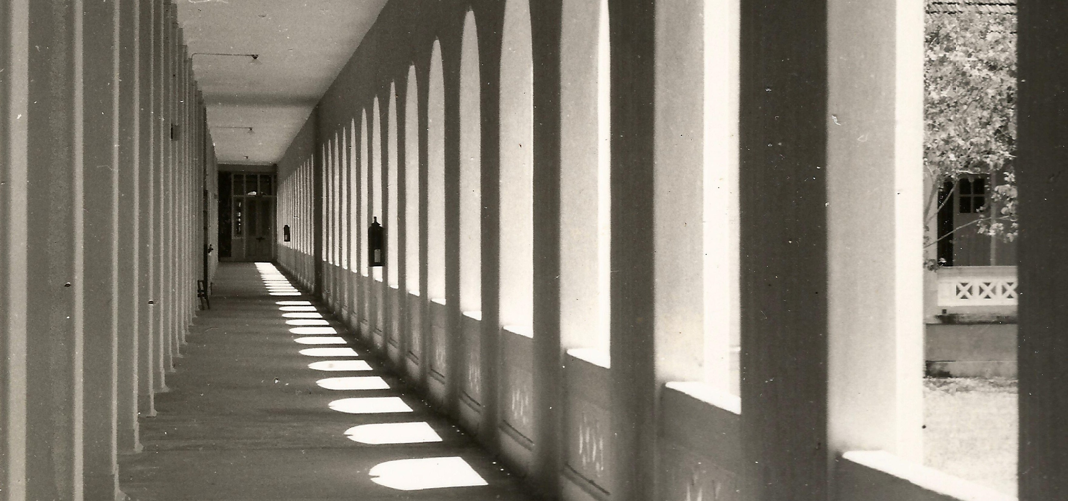 Contact – Tan Boon Lin